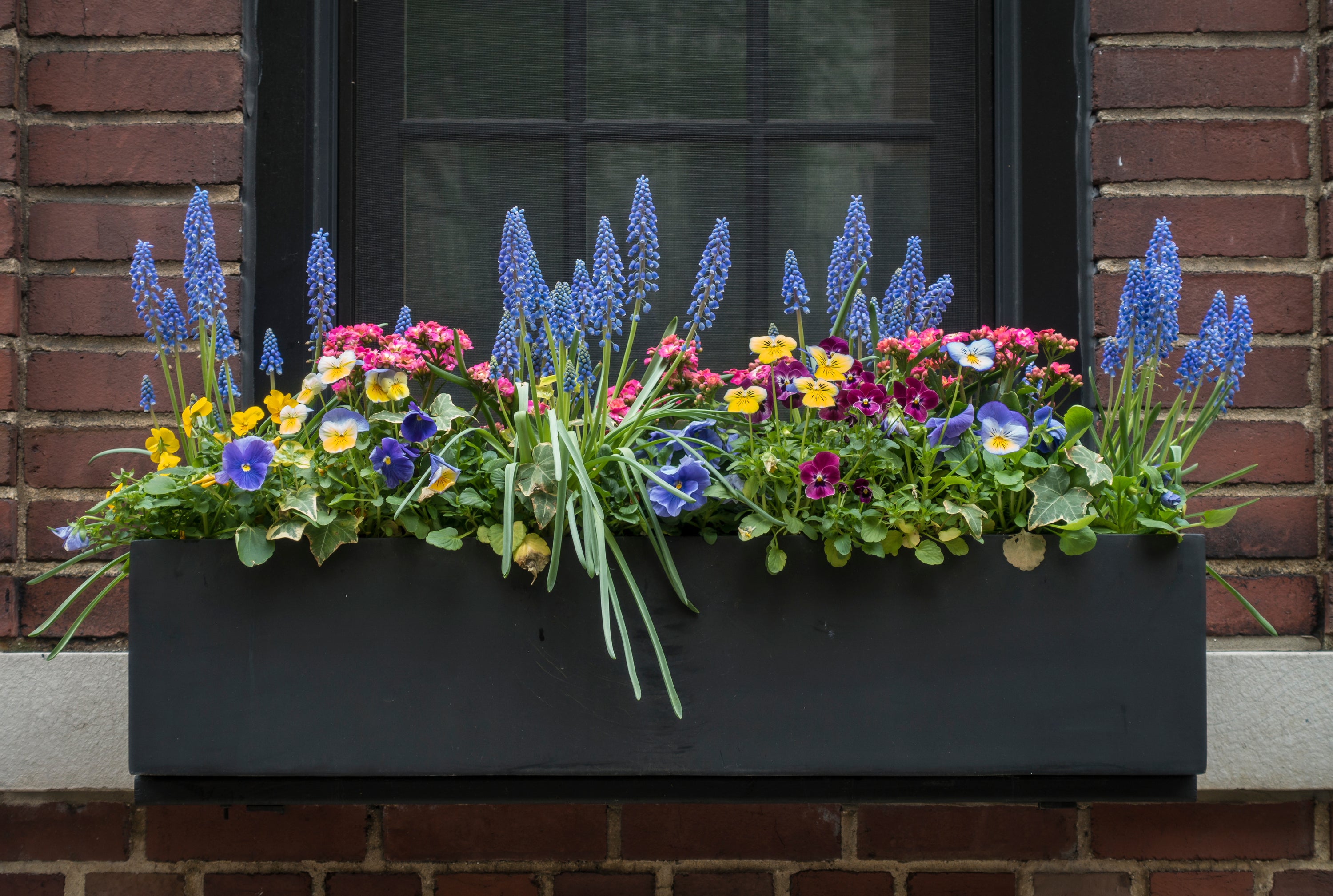 Modern Planter Box Ideas for a Chic Outdoor Look – Post & Porch