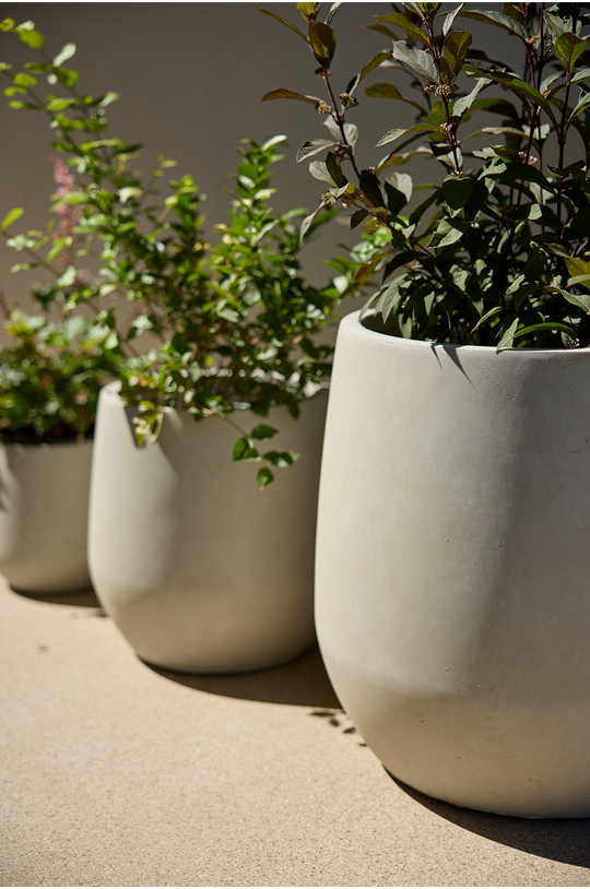 How to Style Multiple Porch Planters for Maximum Curb Appeal – Post & Porch